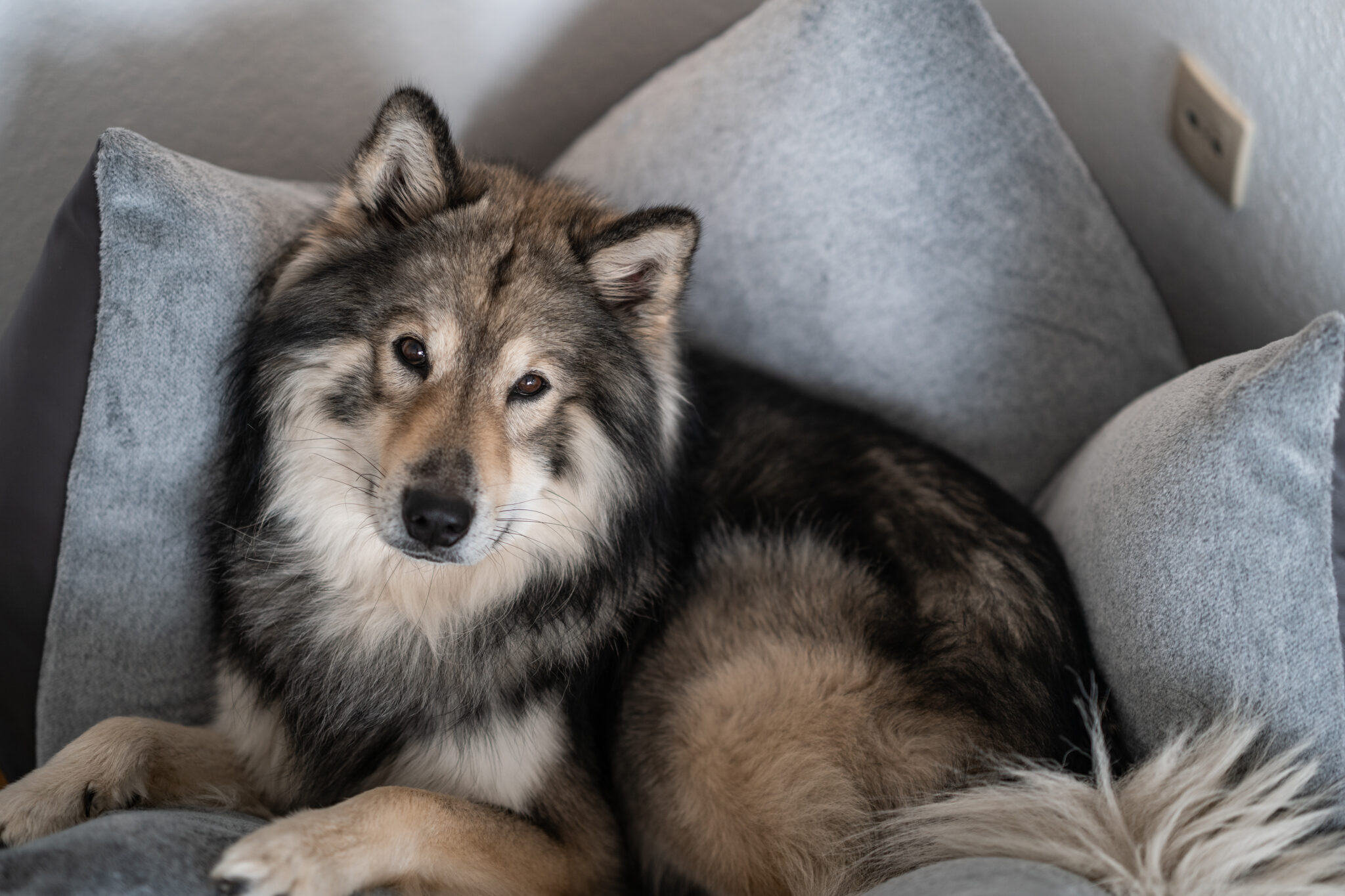 Werbung | Bis zum 31.08.2020 könnt ihr mit verwolft 10% auf eure ...